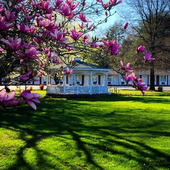 Quality Inn of Mount Airy | Mayberry, NC